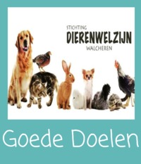 The Fudge Factory- homemade fudge. Snoep van karamel en chocolade